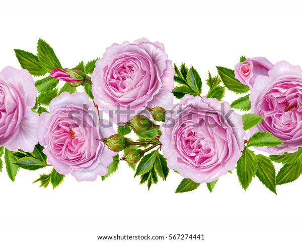 Horizontal Floral Border Pattern Seamless Flower: ภาพประกอบสต็อก ...