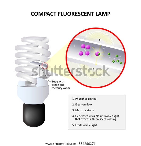 How Do Cfls Work Compact Fluorescent Stock Illustration 534266371 ...