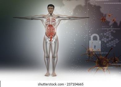 2,782 Anatomy_human_penis Images, Stock Photos & Vectors | Shutterstock
