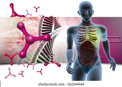 2,782 Anatomy_human_penis Images, Stock Photos & Vectors | Shutterstock