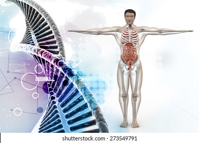 2,782 Anatomy_human_penis Images, Stock Photos & Vectors | Shutterstock