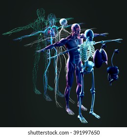 210 Human body exploded view 图片、库存照片和矢量图 | Shutterstock