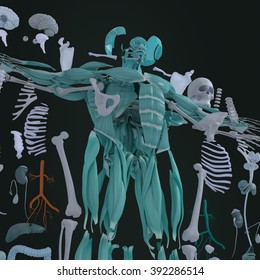 210 imágenes de Human body exploded view - Imágenes, fotos y vectores ...