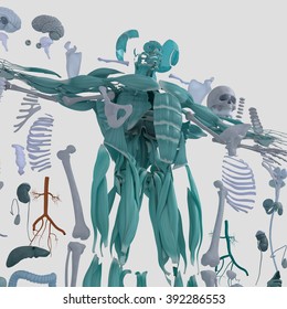 Human Anatomy Exploded View Deconstructed Showing Stock Illustration ...