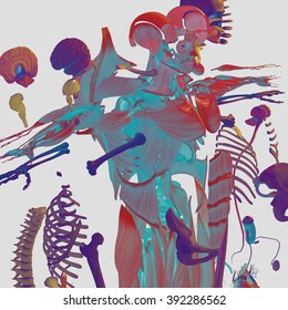 209 Human body exploded view Images, Stock Photos & Vectors | Shutterstock