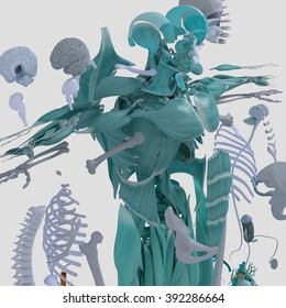 210 imágenes de Human body exploded view - Imágenes, fotos y vectores ...