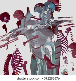 Human Anatomy Exploded View Deconstructed Showing 스톡 일러스트 392286613 ...