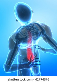 Human Backbone Xray View Stock Illustration 41794876 | Shutterstock