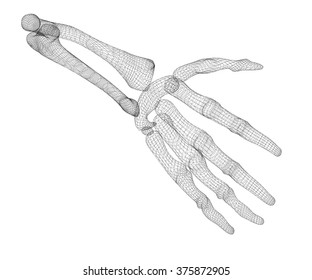 Ilustrasi Stok Human Body Hand Body Structure Wire 375872905 | Shutterstock