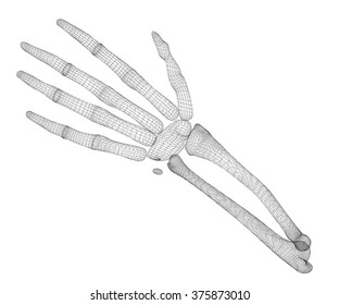Human Body Hand Body Structure Wire: ilustración de stock 375873010 ...
