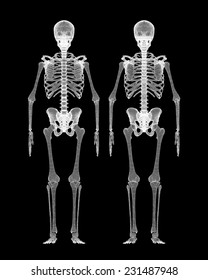 Human Body Skeleton Body Structure Wire Stock Illustration 231487948 ...