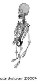 Human Body Skeleton Body Structure Wire Stock Illustration 232000744 ...