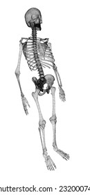 Human Body Skeleton Body Structure Wire: ilustración de stock 232000777 ...