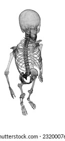 Human Body Skeleton Body Structure Wire Stock Illustration 232000765 ...