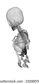 Human Body Skeleton Body Structure Wire Stock Illustration 232000783