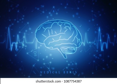 Human Brain 2d Illustration Stock Illustration 1087754387 | Shutterstock