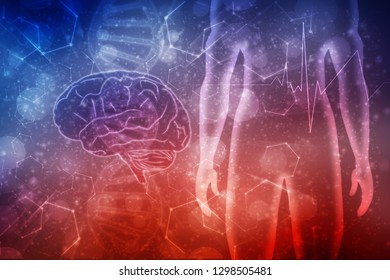 Human Brain 2d Illustration Stock Illustration 1298505481 | Shutterstock