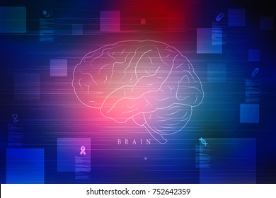 Human Brain 2d Illustration Stock Illustration 754717543