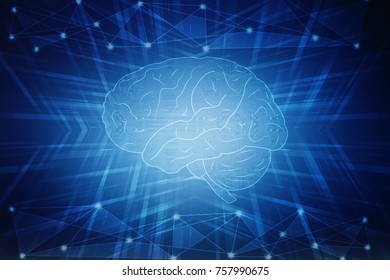 Human Brain 2d Illustration Stock Illustration 757990675 | Shutterstock