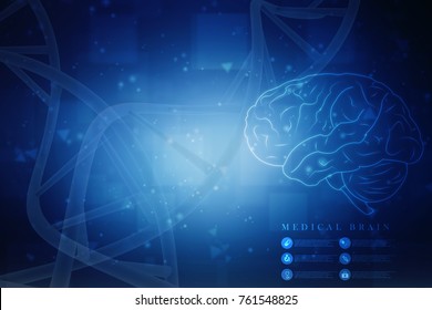Human Brain 2d Illustration Stock Illustration 775897873 | Shutterstock