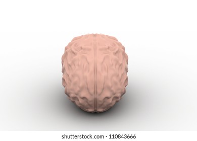 Human Brain 3d Model 库存插图 110843666 | Shutterstock