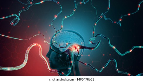 Human Brain Active Neuron Cell 3d: ภาพประกอบสต็อก 1495478651 | Shutterstock