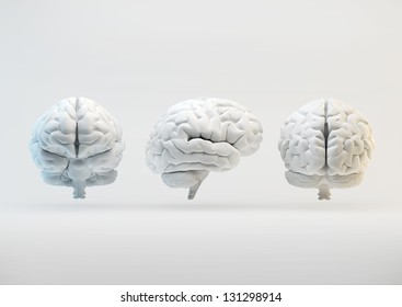2,945 Brain angle Stock Illustrations, Images & Vectors | Shutterstock