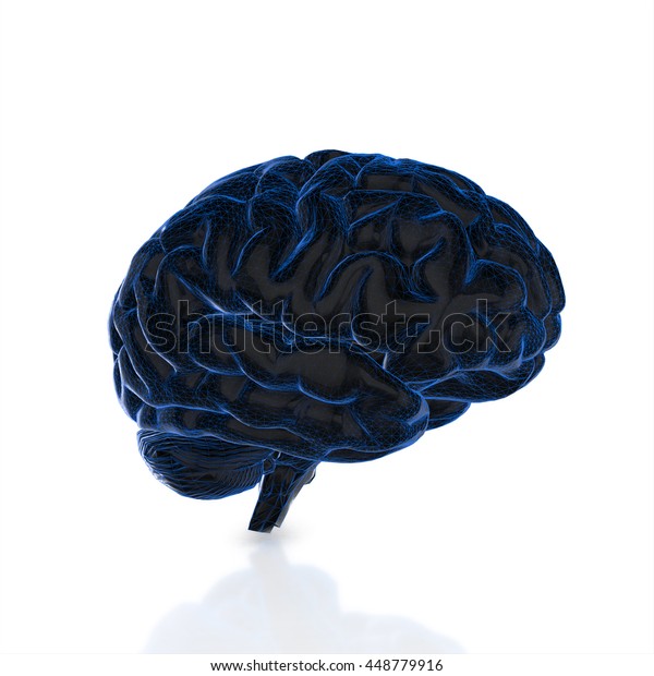 Human Brain Isolated White Background3d Render Stock Illustration ...