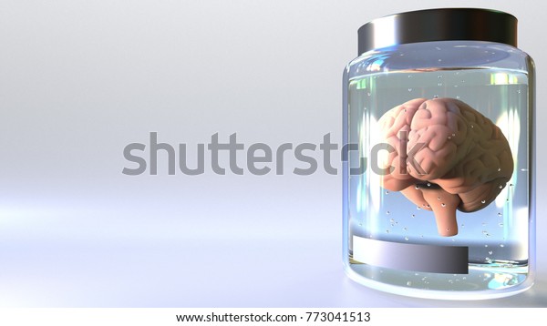Human Brain Jar 3d Rendering Scientific Stock Illustration 773041513