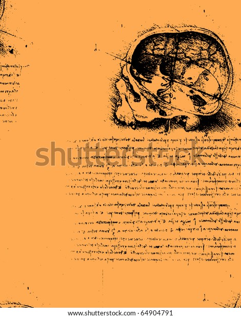 Human Brain Leonardo Da Vinci 1492 Stock Illustration 64904791