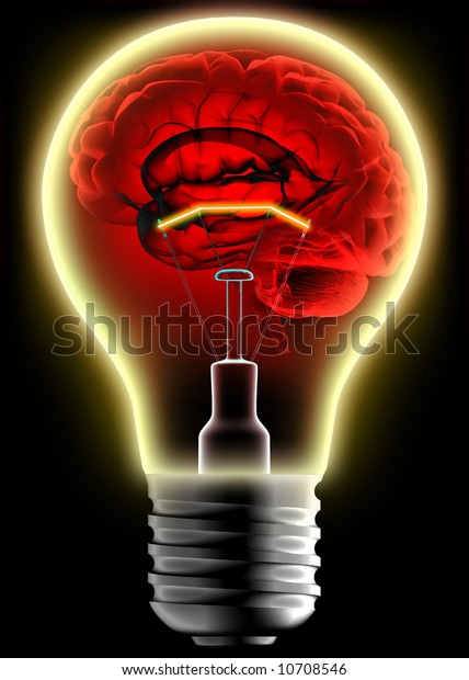 Human Brain Lightbulb Stock Illustration 10708546 | Shutterstock
