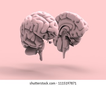 Human Brain Pastel 3d Render Stock Illustration 1115197871 | Shutterstock