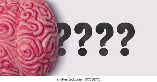 Human Brain Question Marks On Plain Stock Illustration 507558778 ...