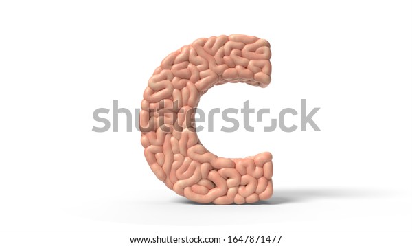 Human Brain Shape Letter C Suitable Stock Illustration 1647871477