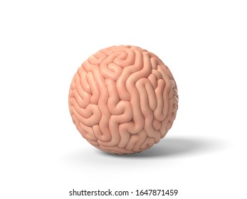 Human Brain Shape Small Sphere Suitable Stock Illustration 1647871459 ...