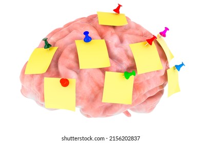 478 Forget pin Stock Illustrations, Images & Vectors | Shutterstock
