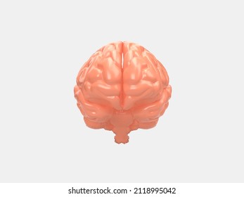 Human Brain White Isolated Background Realistic Stock Illustration ...