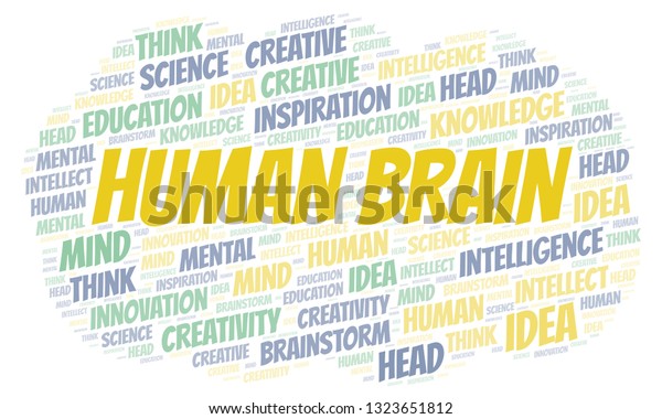 Human Brain Word Cloud Stock Illustration 1323651812 | Shutterstock