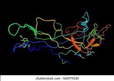 Human Chorionic Gonadotropin 3d Structure Used Stock Illustration ...