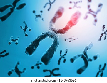 Chromosome Images, Stock Photos & Vectors | Shutterstock