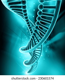 Human Dna Structure Stock Illustration 230601574 | Shutterstock