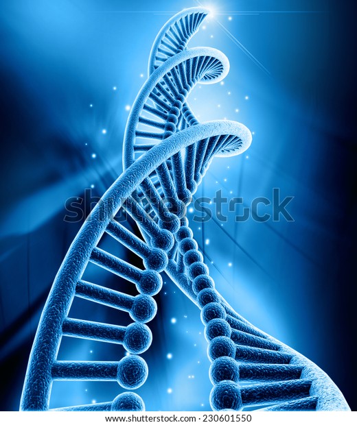 Human Dna Structure Stock Illustration 230601550 | Shutterstock