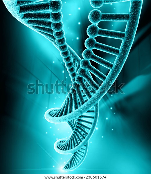 Human Dna Structure Stock Illustration 230601574