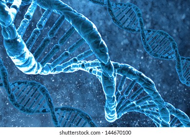 Human Dna Structure Cell Stock Illustration 144670100