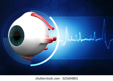 Human Eye Dissection Anatomy Stock Illustration 351501242 | Shutterstock