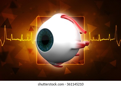 Human Eye Dissection Anatomy Stock Illustration 361145210 | Shutterstock