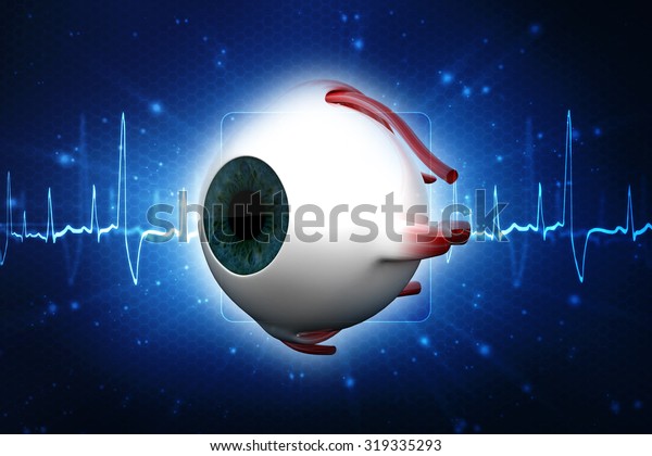 Human Eye Dissection Anatomy: ภาพประกอบสต็อก 319335293 | Shutterstock