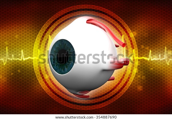 Human Eye Dissection Anatomy Stock Illustration 354887690 | Shutterstock