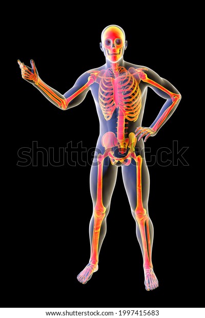 Human Full Body Skeleton Thinking Speaking Stock Illustration ...
