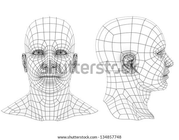 Human Head 3d Wireframe Front Side Stock-illustration 134857748